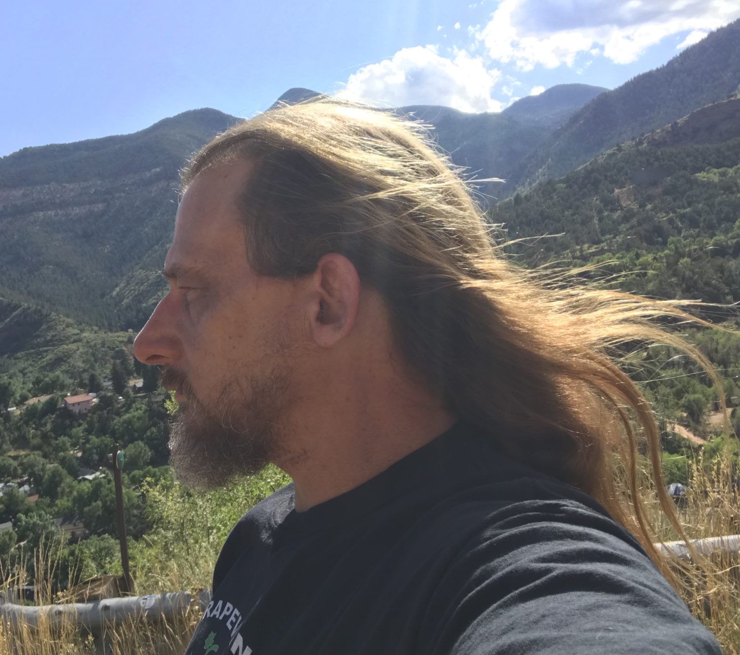 Theories of Critical Racists - Timothy Frazier